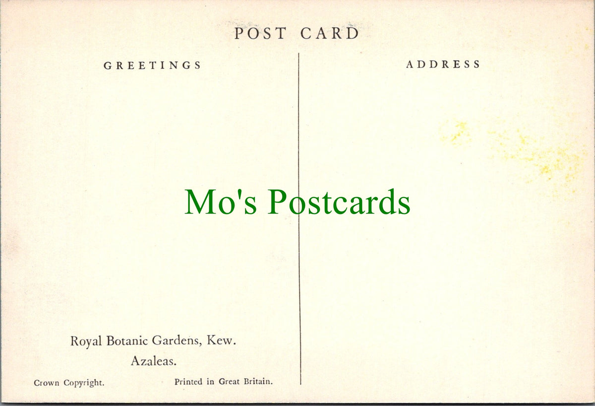 London Postcard - Royal Botanic Gardens, Kew SW12225 | Mo’s Postcards