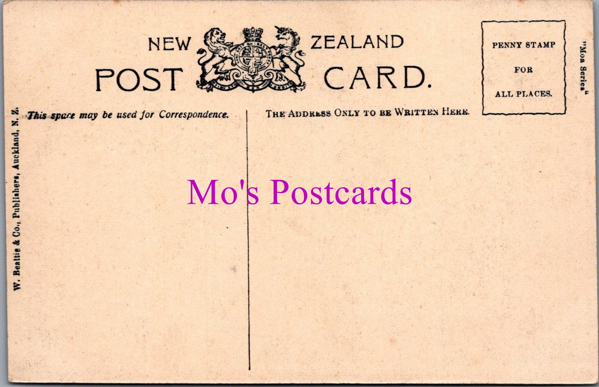 New Zealand Postcard - Ruakurl Caves, Waitomo DZ271 | Mo’s Postcards