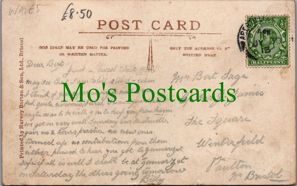 Entrance To New Park, Abertillery | Mo’s Postcards