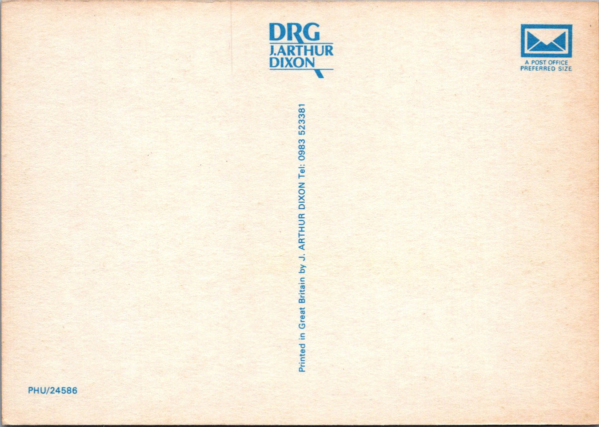 Comic Postcard - The Car Park at The Black Rock Sands, Artist Besley ...