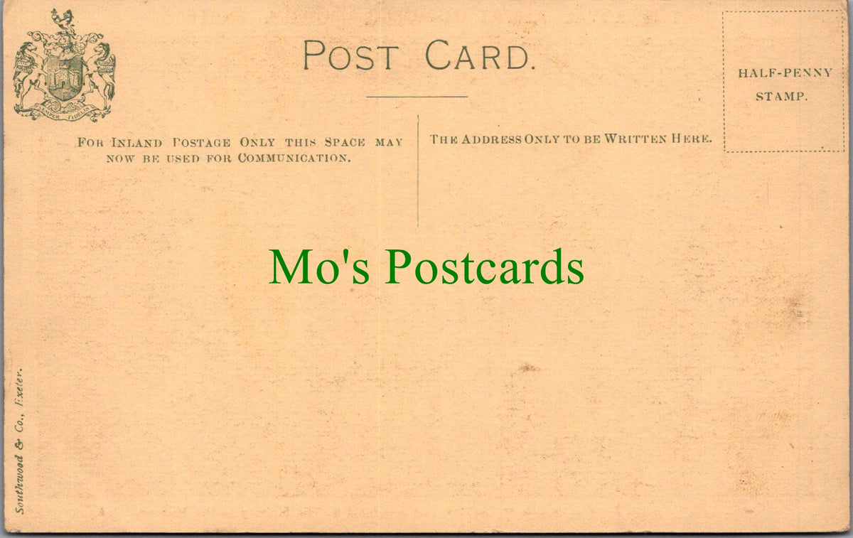 Animals Postcard - Tiger Display, Royal Albert Memorial Museum, Exeter ...